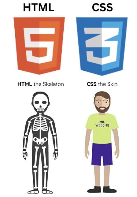 Week 1 Quiz Html Css Quiz Quizizz