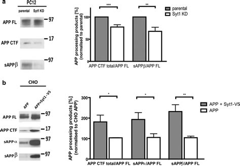 App Ctf And Sappβ Production Are Reduced In The Absence Of Syt1