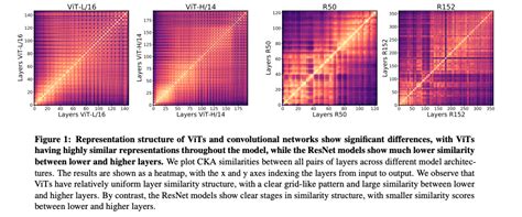 2021 Do Vision Transformers See Like Convolutional Neural Networks