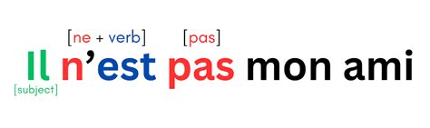 Top 12 Basic French Grammar Rules For Beginners