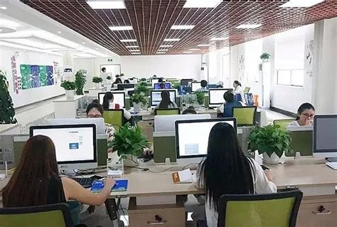Company Overview Shenzhen Phenitech Technology Co Ltd