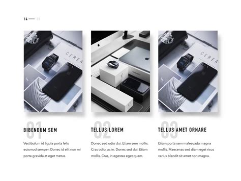 Product Showcase PowerPoint Template Presentation Template 70538