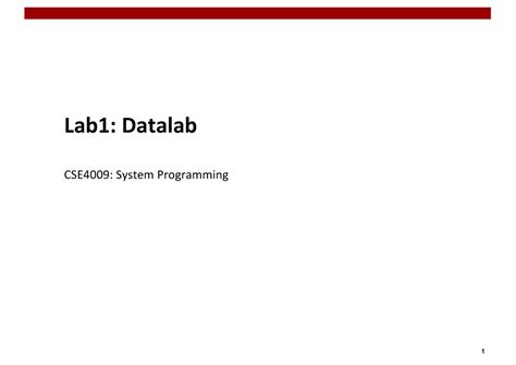 Lab1 Datalab Lab1 Datalab Cse4009 System Programming 1 Make Sure