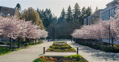 UBC Homes For Sale A Comprehensive Guide