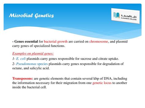 Ppt Microbial Genetics Powerpoint Presentation Free Download Id