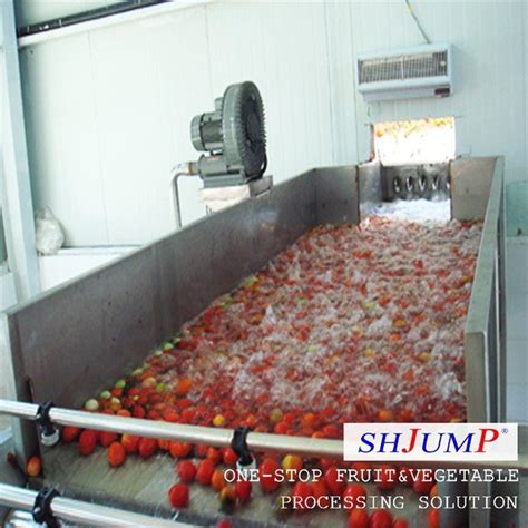 Китай Перални машини за издухване на плодове доставчици производители