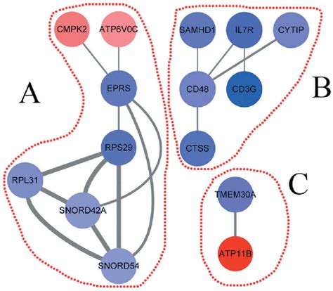 Protein Protein Interaction Networknodes Represent Genes And Edges
