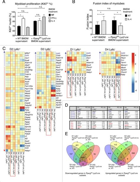 Macrophage PPARγ a lipid activated transcription factor controls a