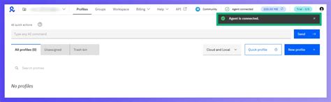 Setting Up And Integrating Proxies With Multilogin Ping Proxies
