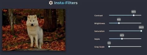 Enhance Your Photos With The Css Contrast Brightness Saturation And Sepia Functions Hackernoon