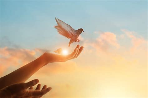 Coaching Inner Glow I Öffne Dein Herz und strahle von innen