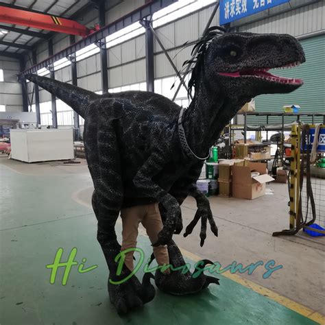 Lifelike Black Velociraptor Costume Jurassic Park Inspired Hidinosaurs