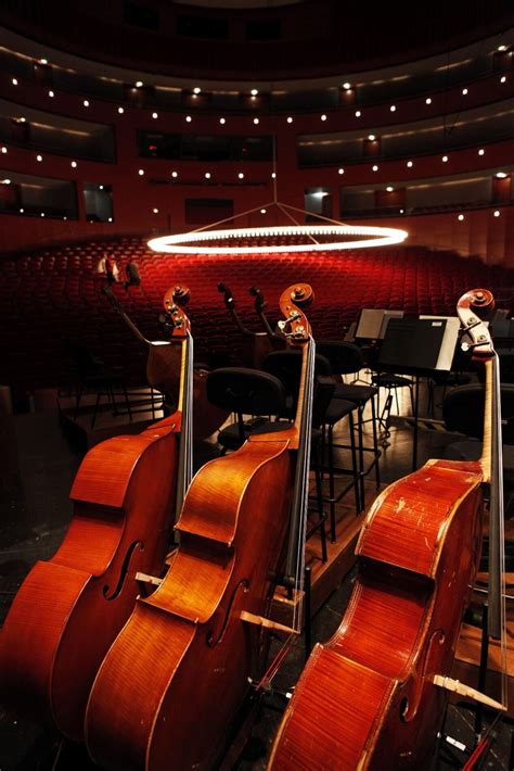 Devenir Mécène Assami