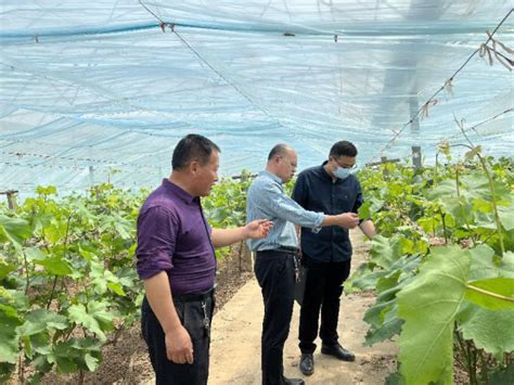 关注养老服务、关注招商引资直击审计一线审计署网站