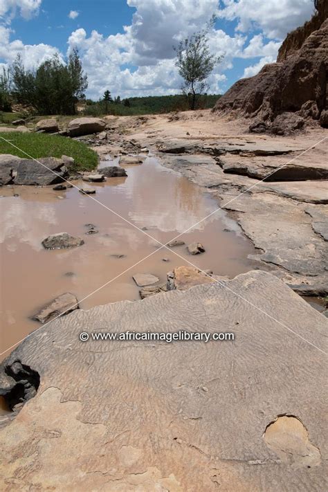 Photos And Pictures Of Fossilised Worm Tracks At Subeng River Dinosaur
