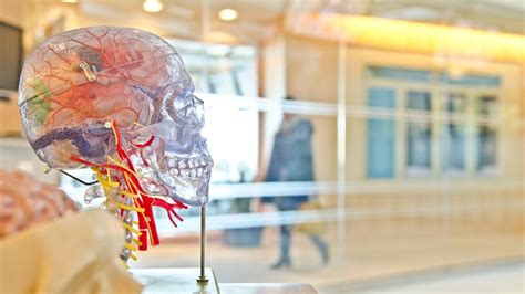 Benefits Of Genetic Testing In Clopidogrel Patients