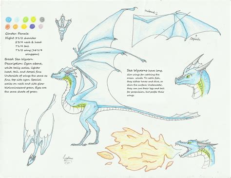 Sea Wyvern Ref Sheet By Draconia4 On Deviantart