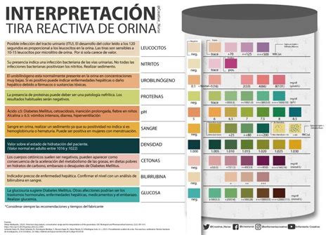 Interpretación tira reactiva de orina Medicina Química Biomedicina