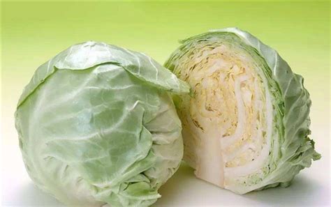 卷心菜是甘蓝吗 鲜淘网