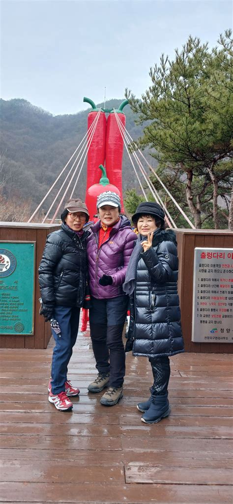 Daum 카페