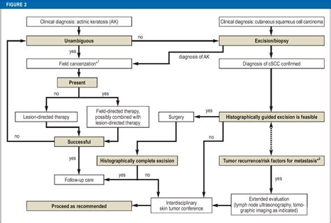 Figure 2 From Actinic Keratosis And Cutaneous Squamous Cell Carcinoma