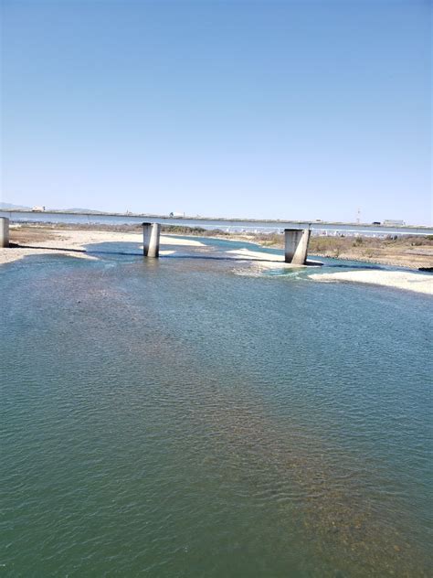 愛知県 一宮市 渡橋 岐阜県 各務原市 平成川島橋 近場ぶらりチャリ