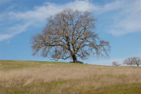 Ted Fried S Profile Hackaday Io