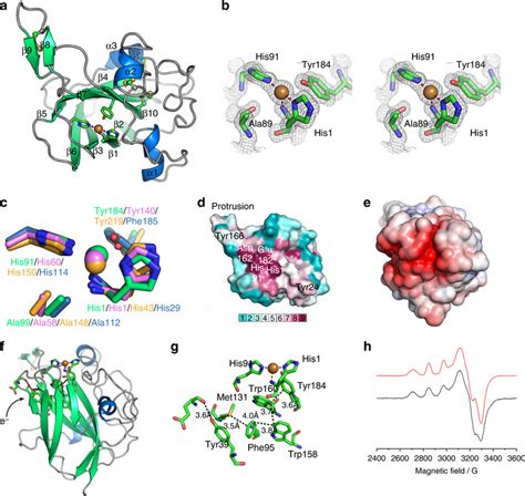 Structural And Spectroscopic Characterization Of Tdaa15a A The Overall Download Scientific