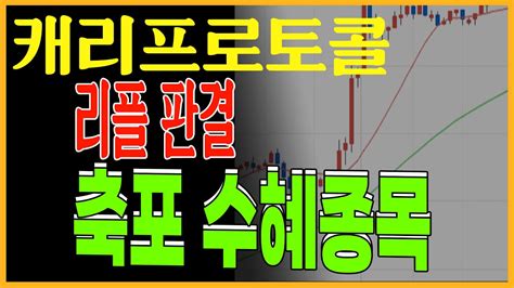 캐리프로토콜 리플판결 웹3 수혜종목 첫 시작은 캐리프로토콜이 쐈습니다 Youtube
