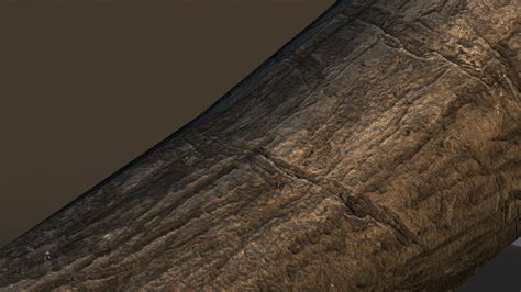 Tree Pbr Really Texture Texture Cgtrader