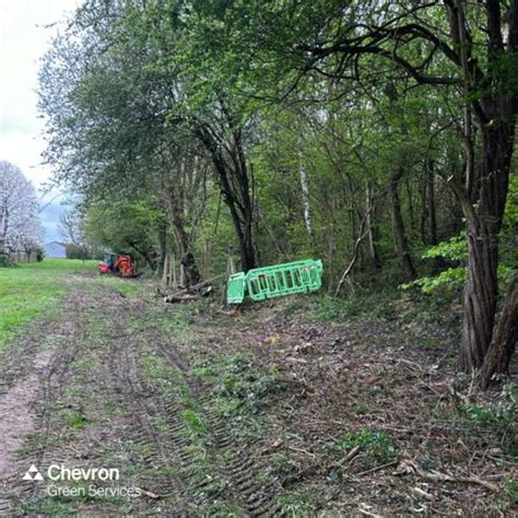 5m Buffer Zone Set Up Around Nesting Bird Discovered On M2 Fence Line