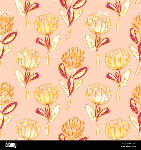 Orange Protea Stock Vector Images Alamy