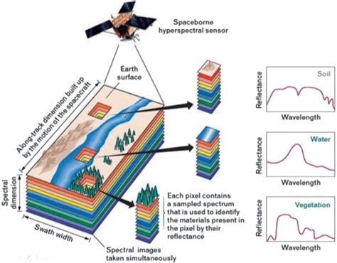 Comparative Analysis Of Hyperspectral Image Classification Algorithms Springerlink