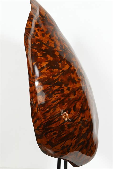 Large Faux Turtle Shell Mounted On Stand At StDibs Turtle Shell On Stand Turtle Shell