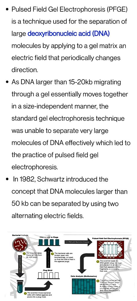 Solution Pulse Field Gel Electrophoresis Studypool