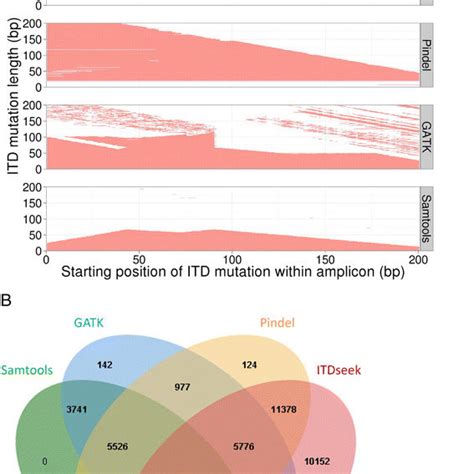 Flt3 Itd Detection Performance Of A Novel Algorithm Itdseek Versus