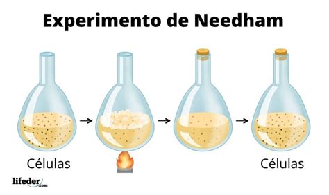 Generación Espontánea Historia Propuestas Experimentos