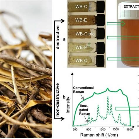 Analyzed Willow Bark Biomass And Implemented Characterization