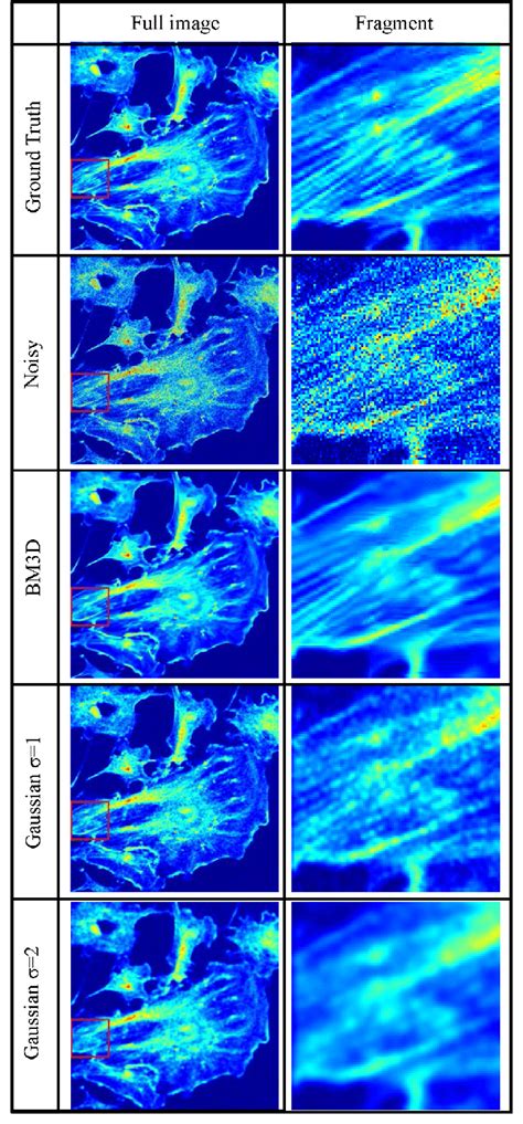 Denoising Synthetic Data Peak Snr Images In The Right Column