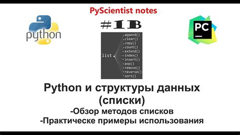 python и структуры данных списки введение в програмирование youtube