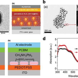 a) TEM image of Au@SiO2 NPs is shown in (a),(b). Schematic diagram of... | Download Scientific ...