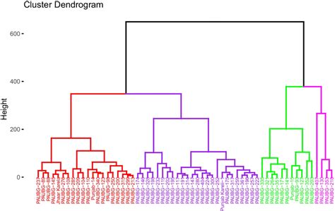 Hierarchical Clustering Of Momordica Spp On Basis Of Mineral Download Scientific Diagram