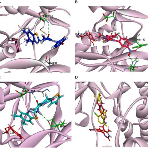 Schematic Representation Of The Interactions Between Selected Download Scientific Diagram