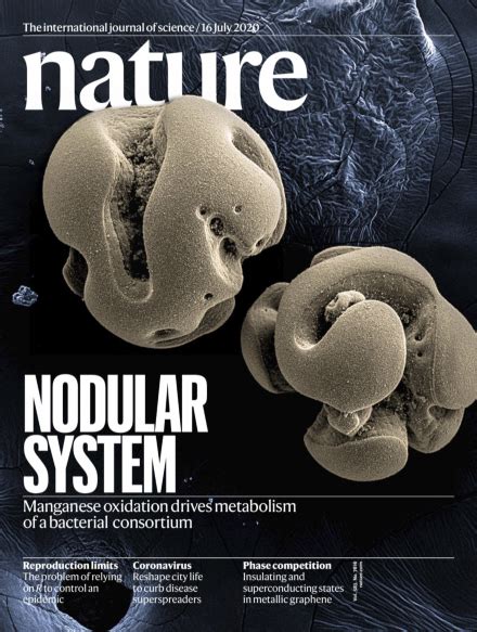 Volume 583 Issue 7816 16 July 2020