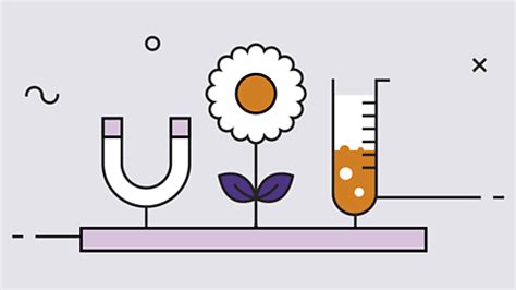 GCSE Combined Science Exam 2023 Revision Support BBC Bitesize