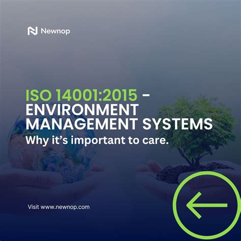 newnop on linkedin how we embrace sustainability in software