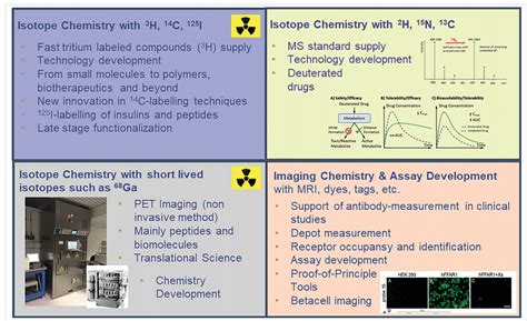 Unlocking The Potential Of Isotopic Labeling In Pharmaceutical Research