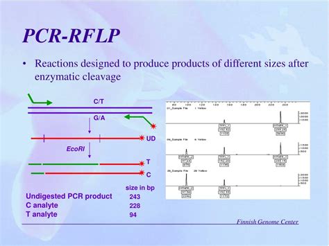 PPT High Throughput Genotyping PowerPoint Presentation Free Download ID 545134