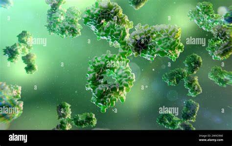 Illustration Of Antibody Technologies Based On The 3d Structure Of