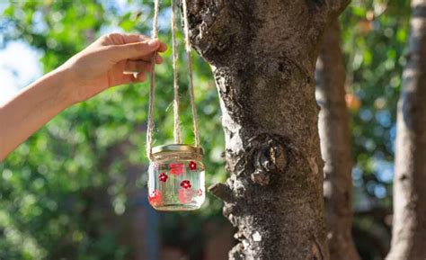 Crafting Homemade Hummingbird Nectar A Comprehensive Guide Arckonnect